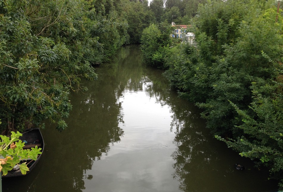 Un dimanche après-midi au cœur de la Venise Verte